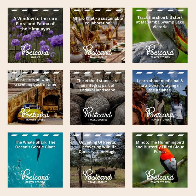 Postcard Travel Club